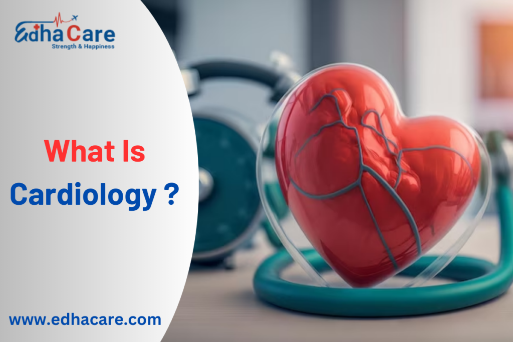 What Is Cardiology ? Find Best Cardiologist in India | EdhaCare