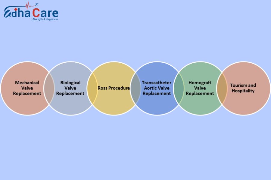 Heart Valve Replacement in India: Affordable & Best Treatment