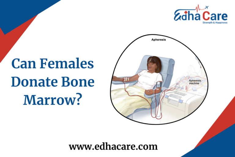 Can Females Donate Bone Marrow? Myths Busted | EdhaCare