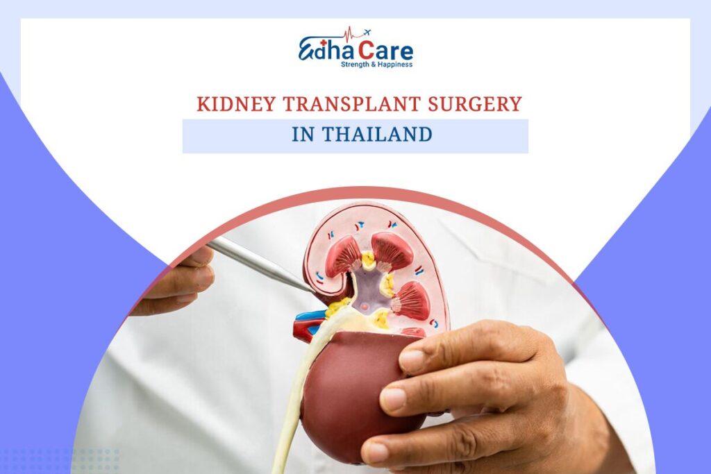 Kidney Transplant Surgery in Thailand – Top Hospitals & Surgeons