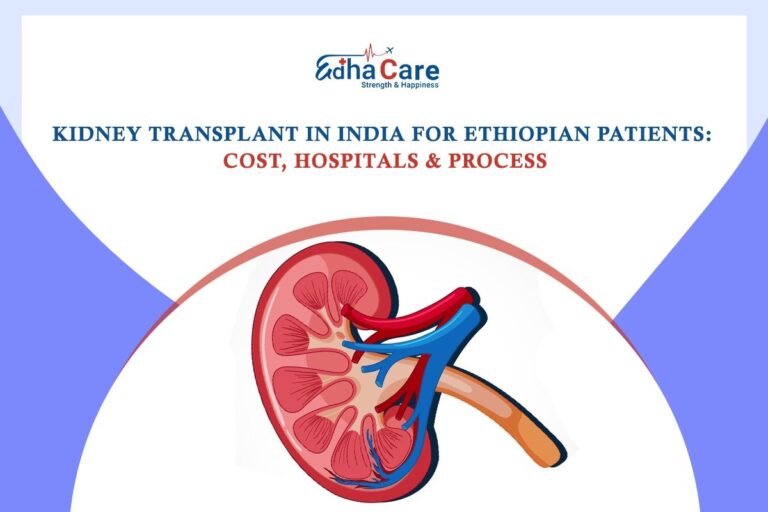 Transplantace ledvin v Indii pro etiopské pacienty: Cena a nemocnice